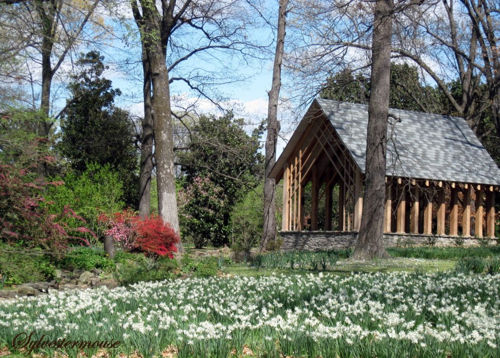 Pictorial Tour of the Memphis Botanic Gardens - House of Sylvestermouse