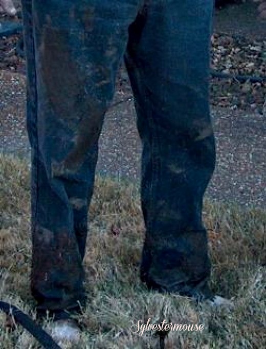 Tale of the Tarred Trio ~ A Thanksgiving Trauma - House of Sylvestermouse